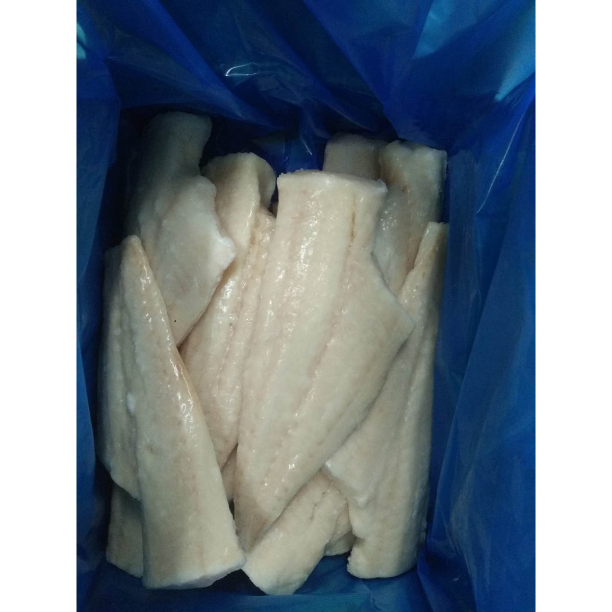 Haddock Fillet Case – Great Ocean Seafood